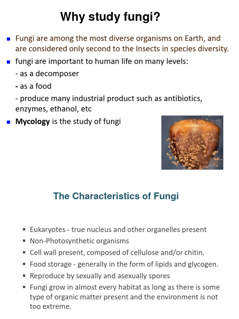 Fungi Pdf Fungus Sexual Reproduction