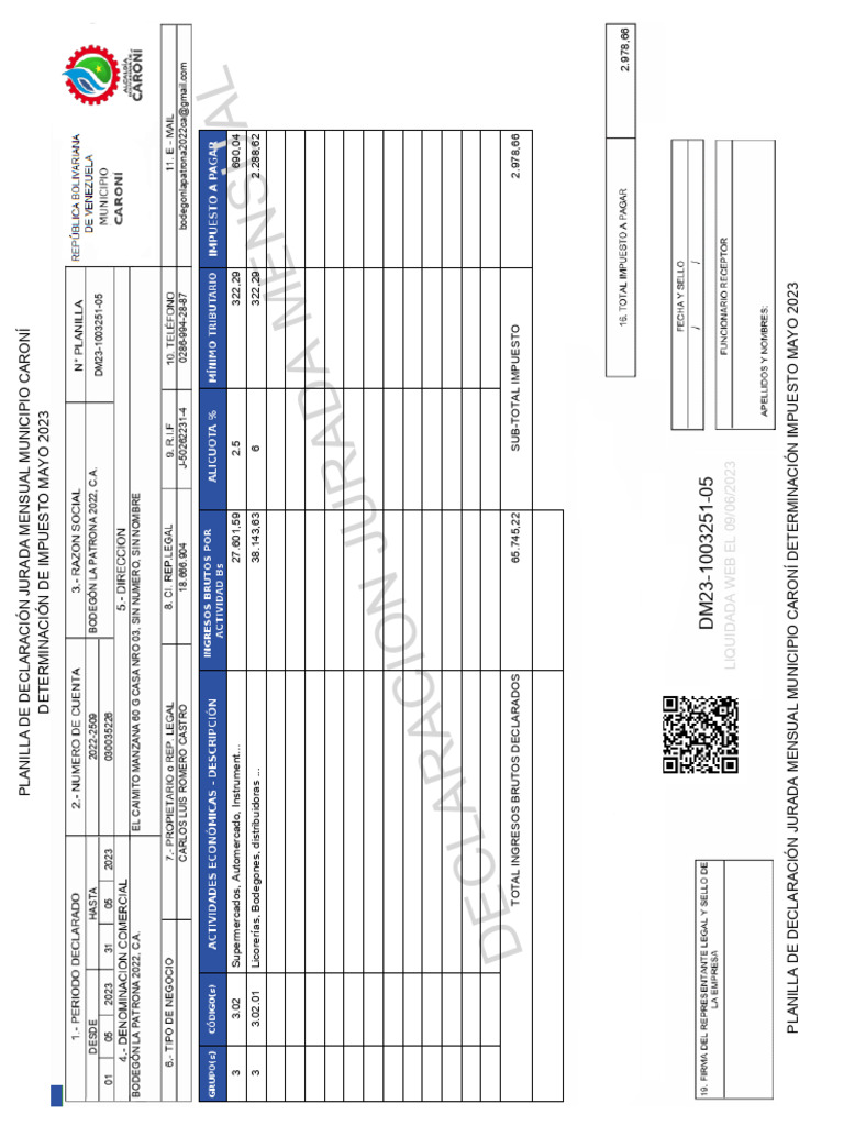 Declaracion Iae 05-2023 | PDF