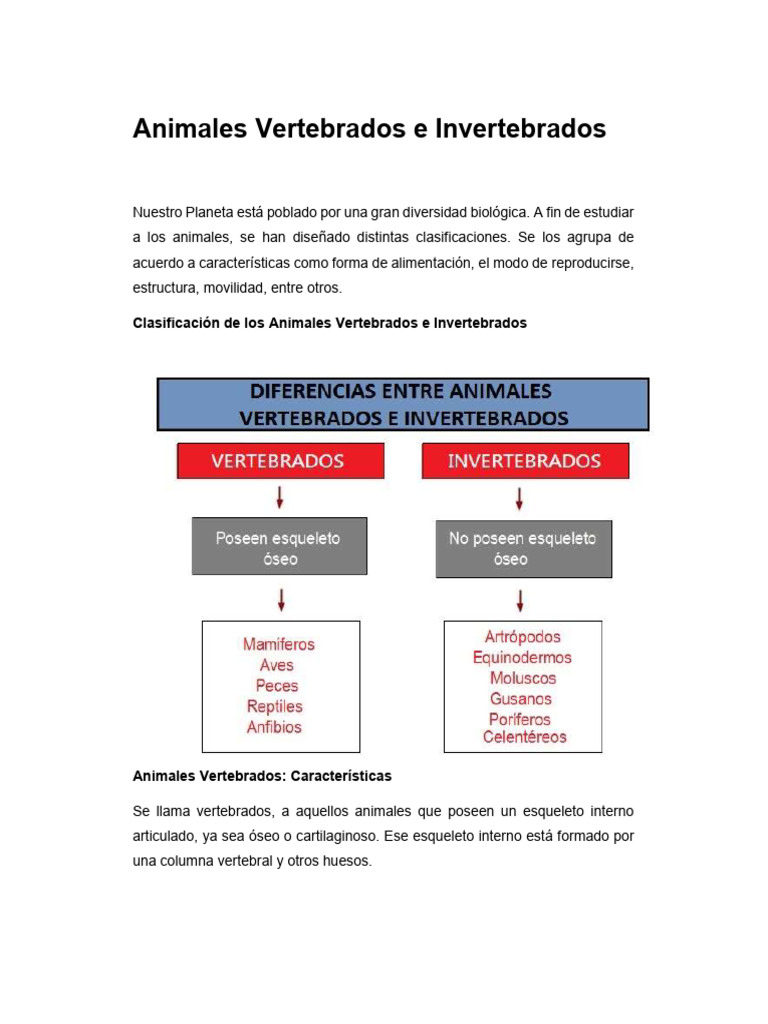 Animales Vertebrados Invertebrados | PDF | Vertebrados | Mamíferos