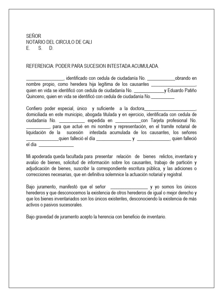 Modelo Poder Sucesion Notaria | PDF | Derecho