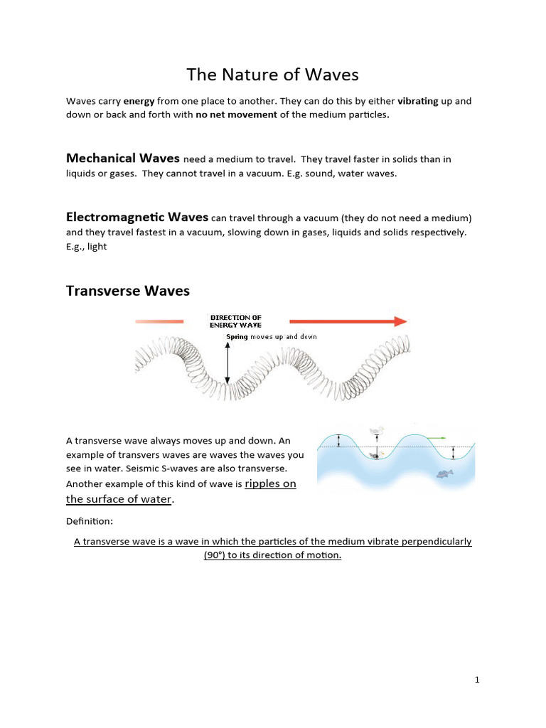 The Nature of Waves HW | PDF | Waves | Wavelength