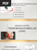 Teoría de La Matriz Funcional de Melvin Moss | PDF | Cráneo | Ortodoncia