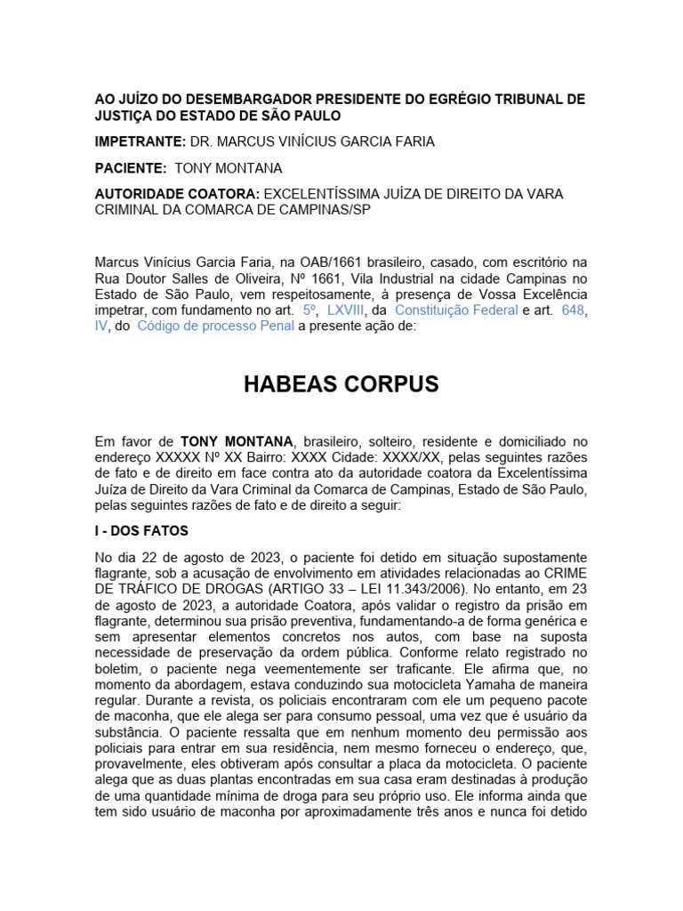 Modelo de Peca Habeas Corpus Com Pedido Liminar | PDF | Habeas corpus ...