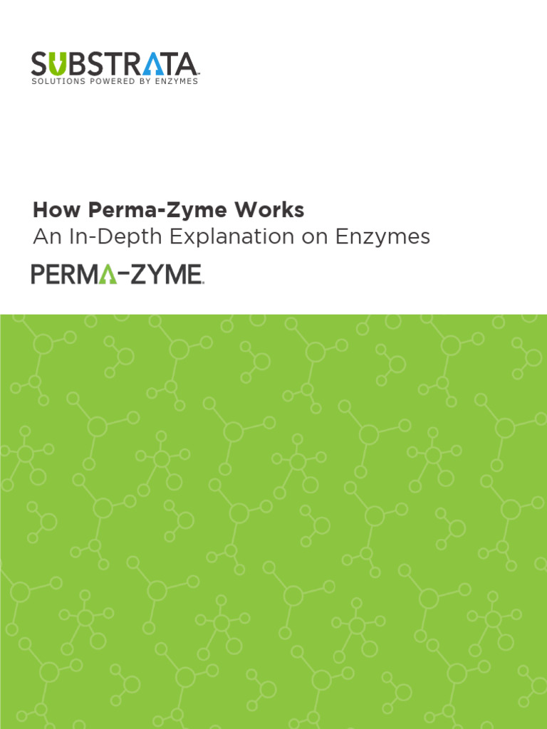 How Perma-Zyme Works White Paper | PDF | Clay | Soil