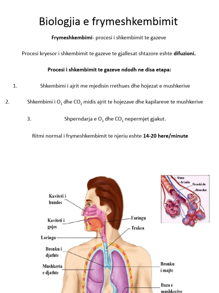 Bio - 9 - Tretja | PDF