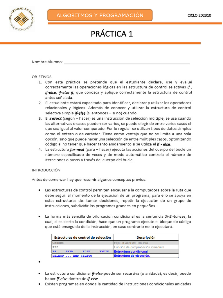 Práctica 1 - Algoritmos y Programación - 202310 | PDF | Flujo de ...