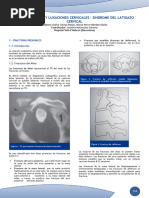 Istmo de Las Fauces | PDF | Medicina CLINICA | Enfermedades y trastornos