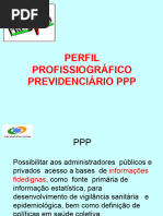 Modelo de PPP em Excel para Download | PDF