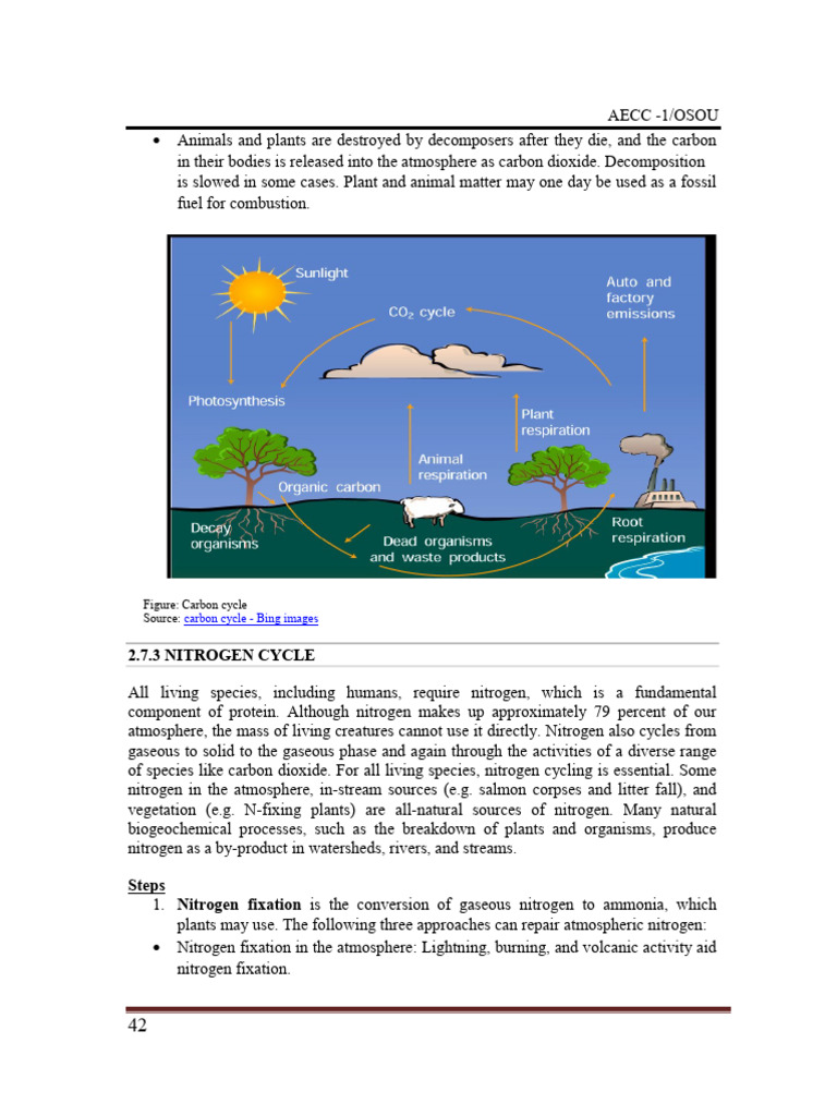 Nitrogen Cycle | PDF | Ecosystem | Ecology