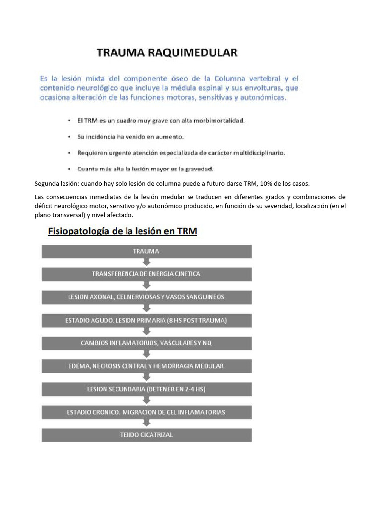 TRM | PDF | Médula espinal | Lesión