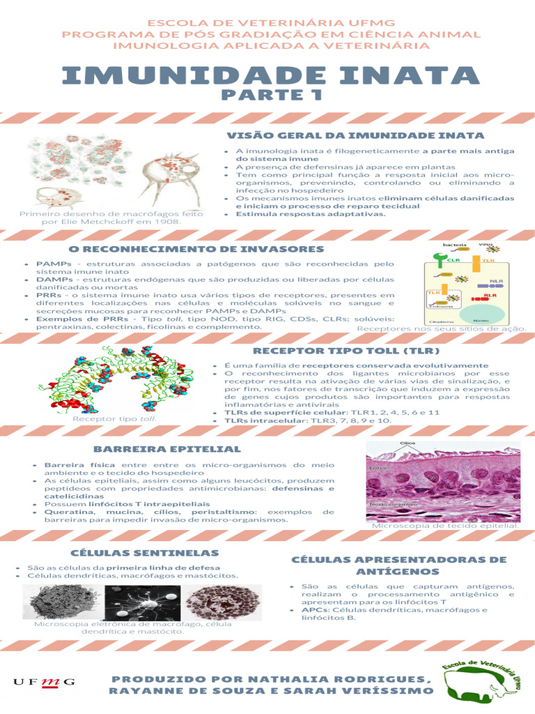 Imunidade Inata | PDF | Sistema imunológico | Sistema complementar