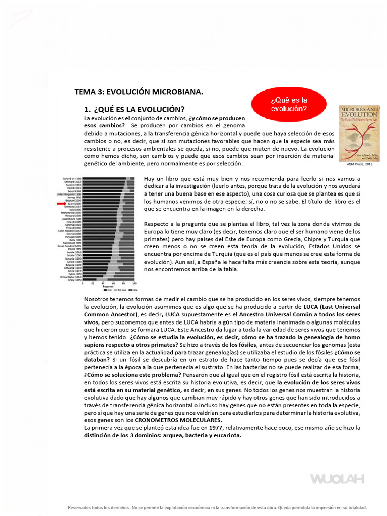 Wuolah Free TEMA 3 | PDF | Gene | Evolución