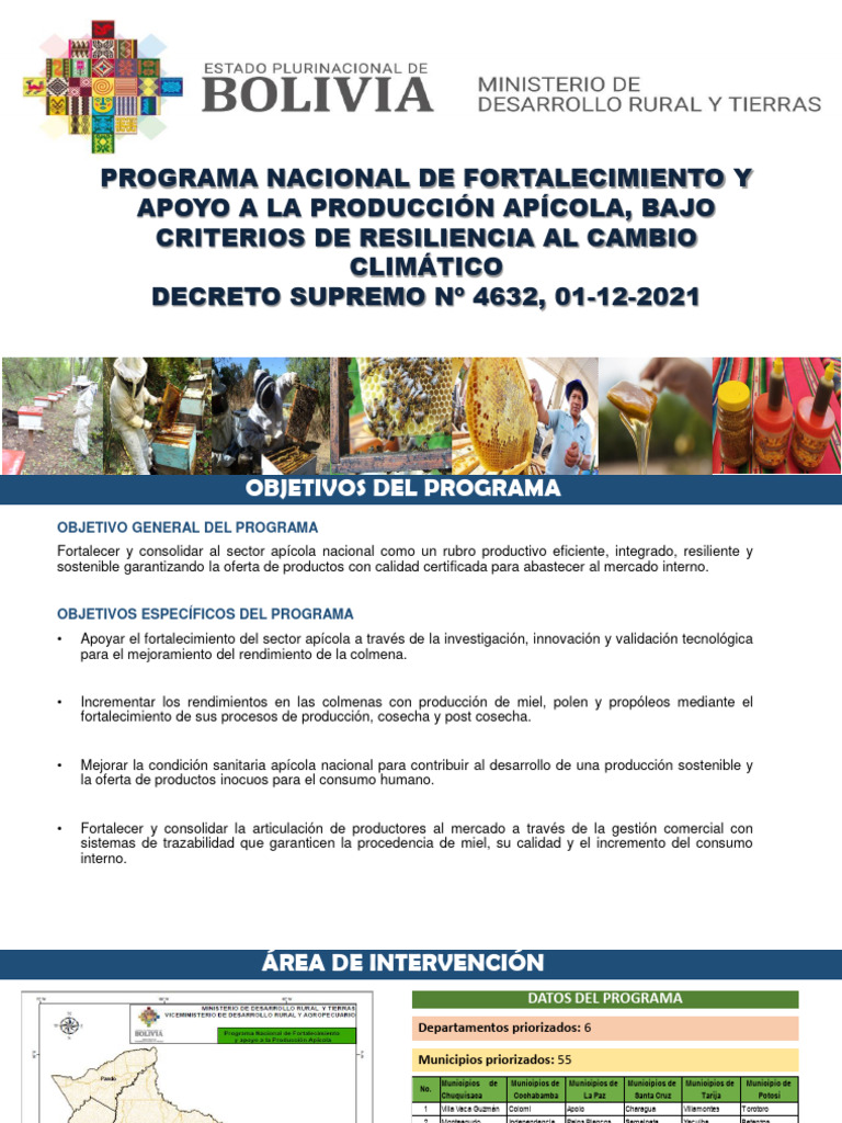 1-Formato de Presentacion Ultimo API Febrero 2022 | PDF | Apicultura ...