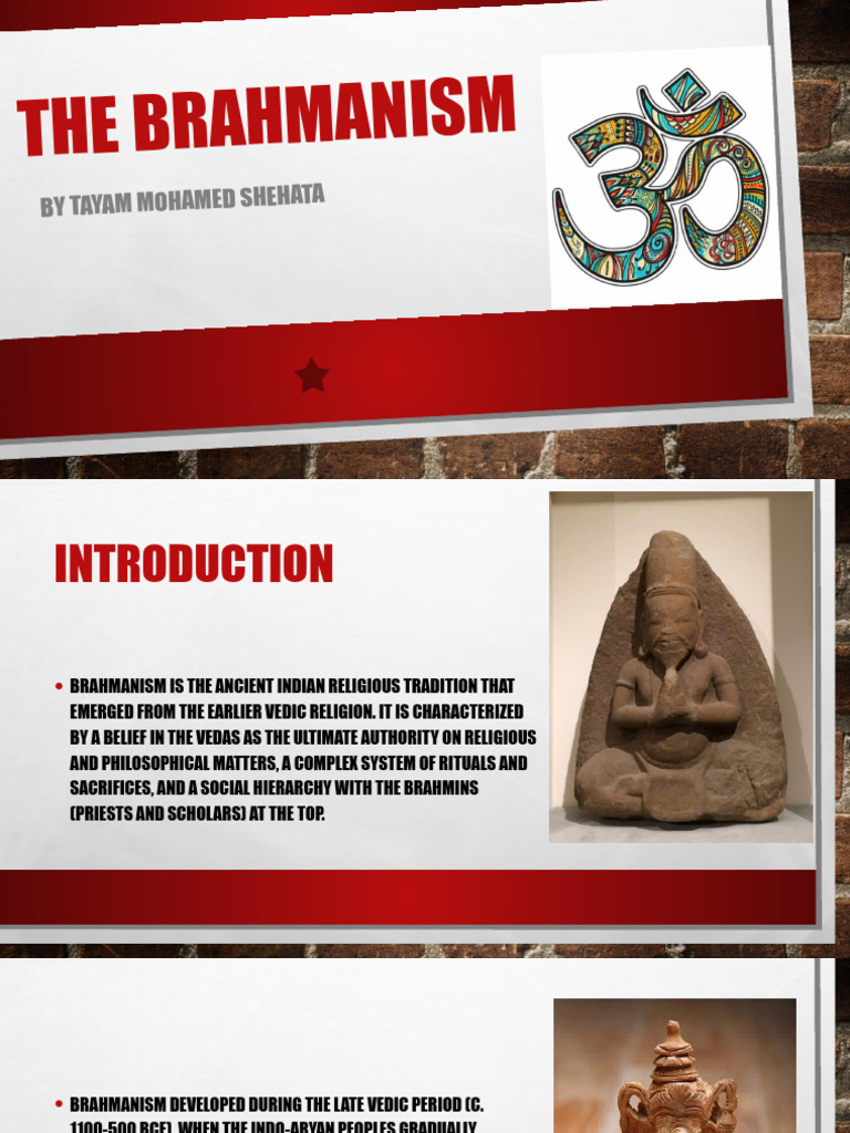 The Brahmanism: by Tayam Mohamed Shehata | PDF