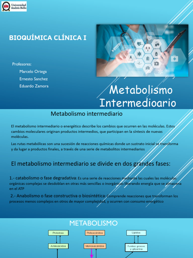 CLASE 9 Metabolismo Intermediario | PDF | Glucólisis | Trifosfato de adenosina