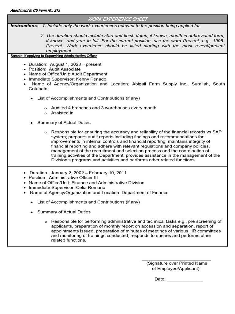 Work Experience Sheet Template | PDF | Audit | Internal Control