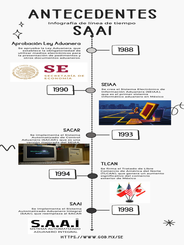 Antecedentes Saai | PDF