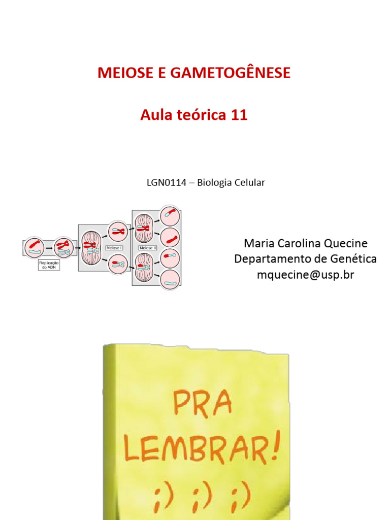 Aula 11 - Meiose Como Etapa Da Gametogênese | PDF | Meiose | Reprodução ...