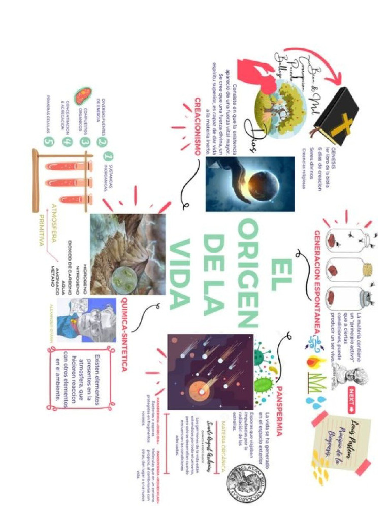 Infografia Teorias Del Origen de La Vida | PDF