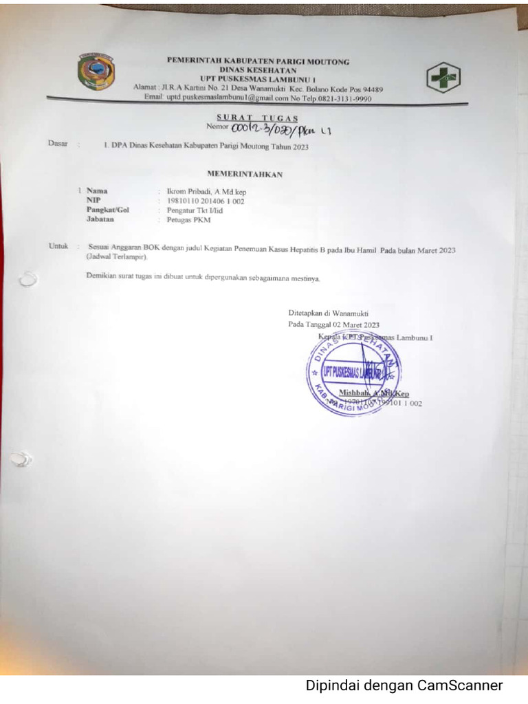 Bukti Pelaksanaan Skrining HbsAg Bulan Maret 2023 | PDF