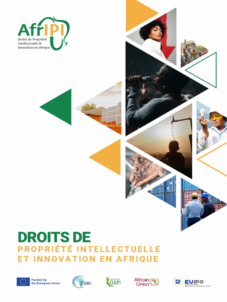 AfrIPI Leaflet FR | PDF