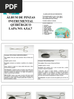 Pinzas de Backhaus en Cirugía: Uso y Función | PDF