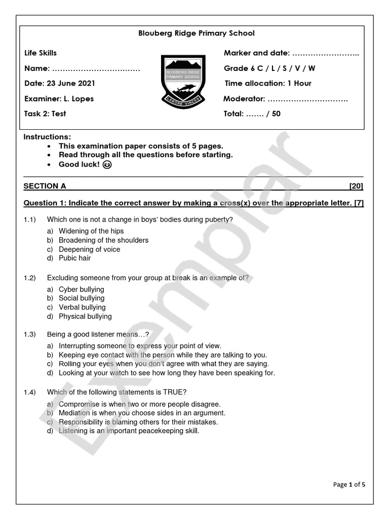Grade 6 Life Skills Mid Year Examination 2021 1 | PDF | Adolescence ...