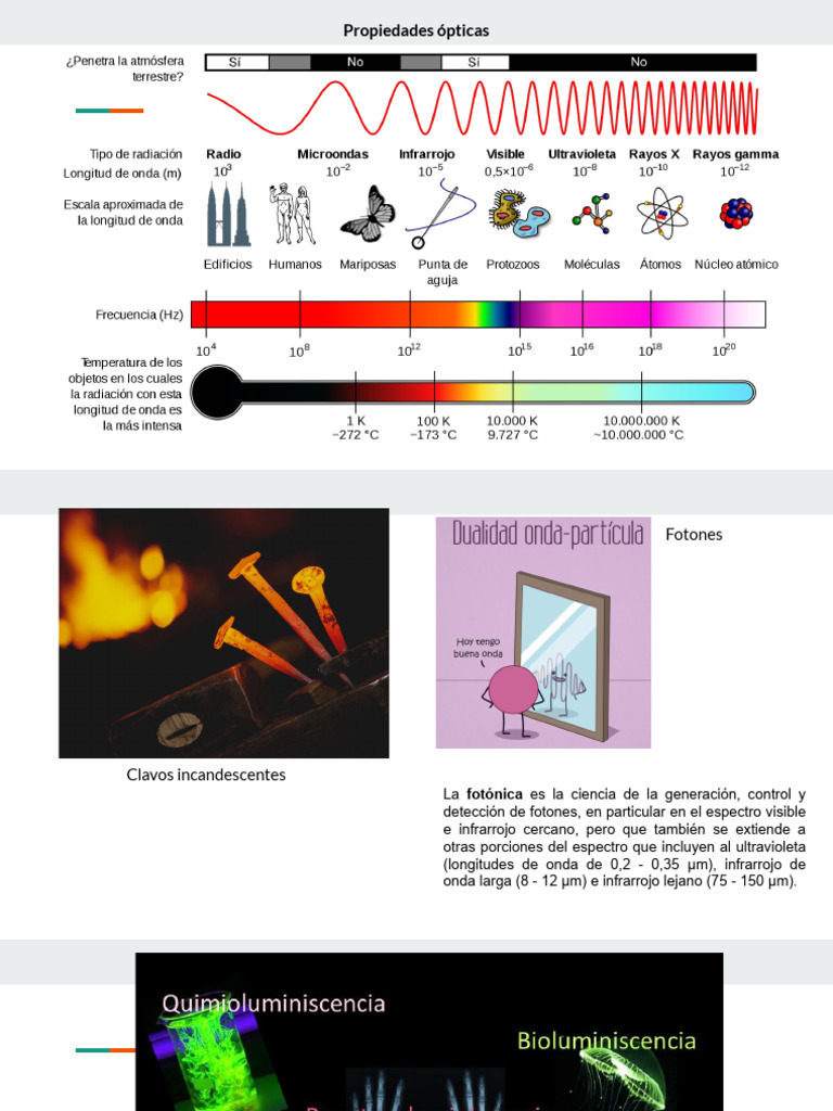 Bloque 10 | PDF | Sustrato (Química) | Enzima