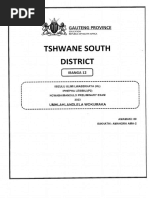 IsiZulu HL P2 Lwezi IBANGA 10 FINAL | PDF | Southern Africa | Zulu Kingdom