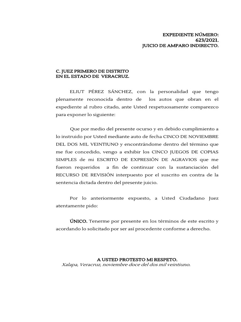 Escrito Eliut Pérez Sánchez Exhibiendo Copias de Expresión de Agravios ...