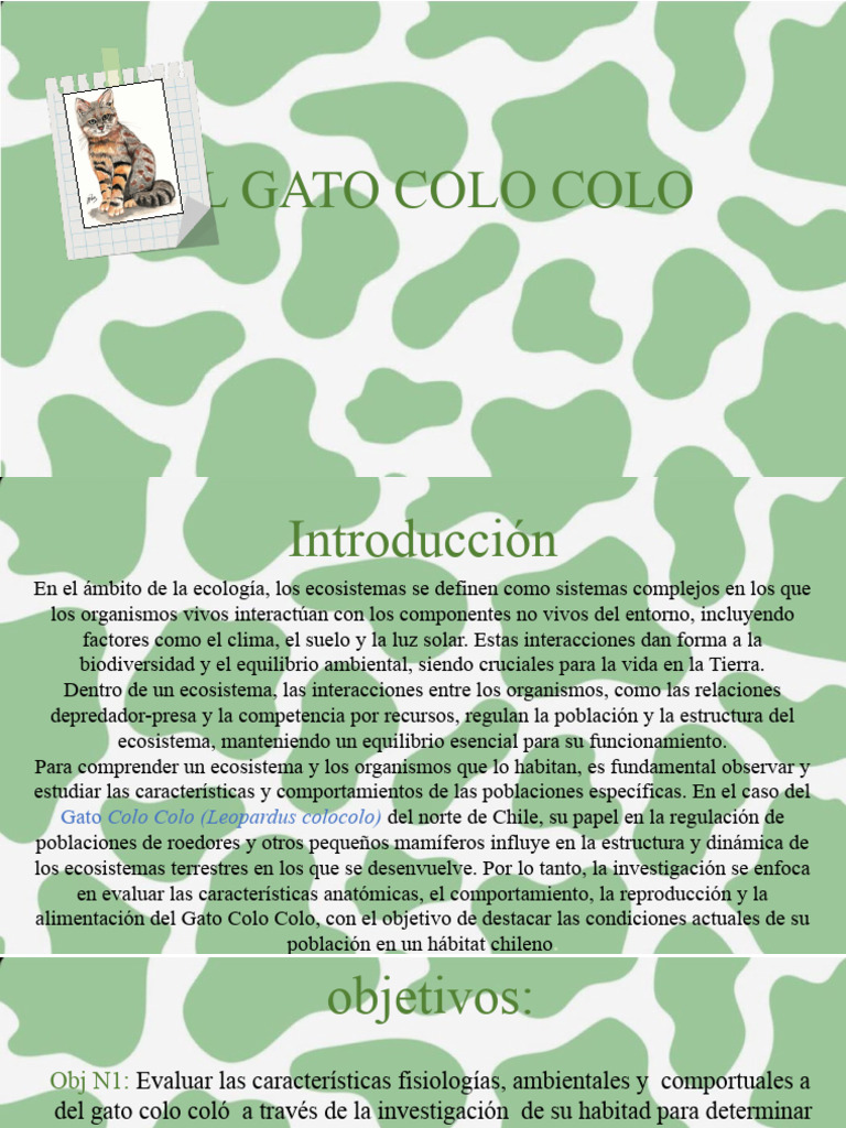 Ecología del Gato Colo Colo en Chile | PDF | Ciencia y matemáticas