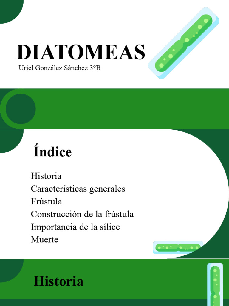 (Protistas 3°) Presentación 01) Diatomeas | Descargar gratis PDF | Naturaleza | Organismos