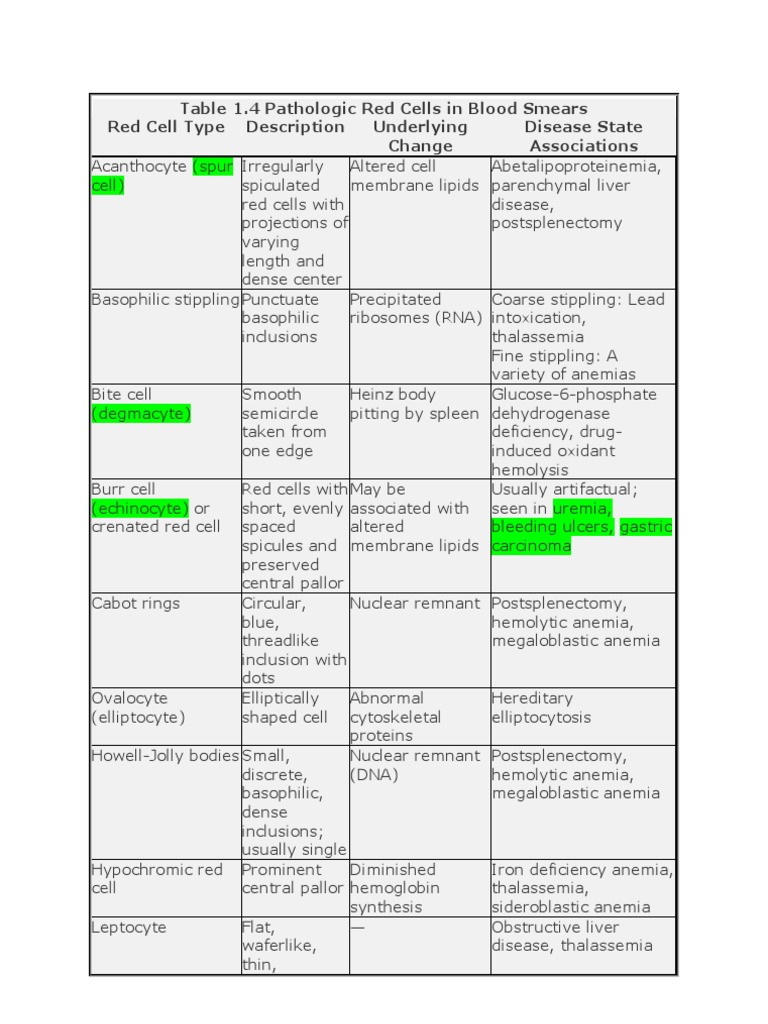 RBC Pathologies | PDF | Anemia | Red Blood Cell