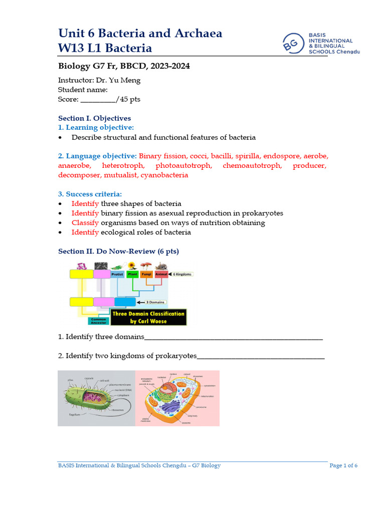 G7 Fr U6L1-Bacteria-Class Worksheet | PDF | Bacteria | Cell (Biology)