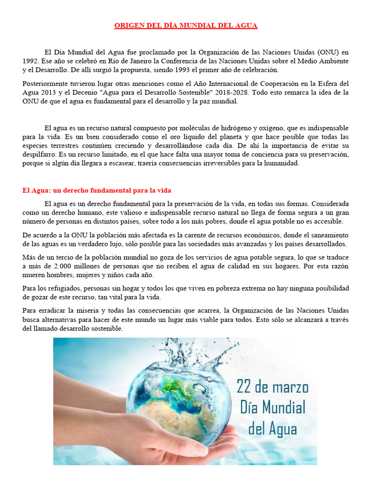 Origen Del Día Mundial Del Agua | PDF