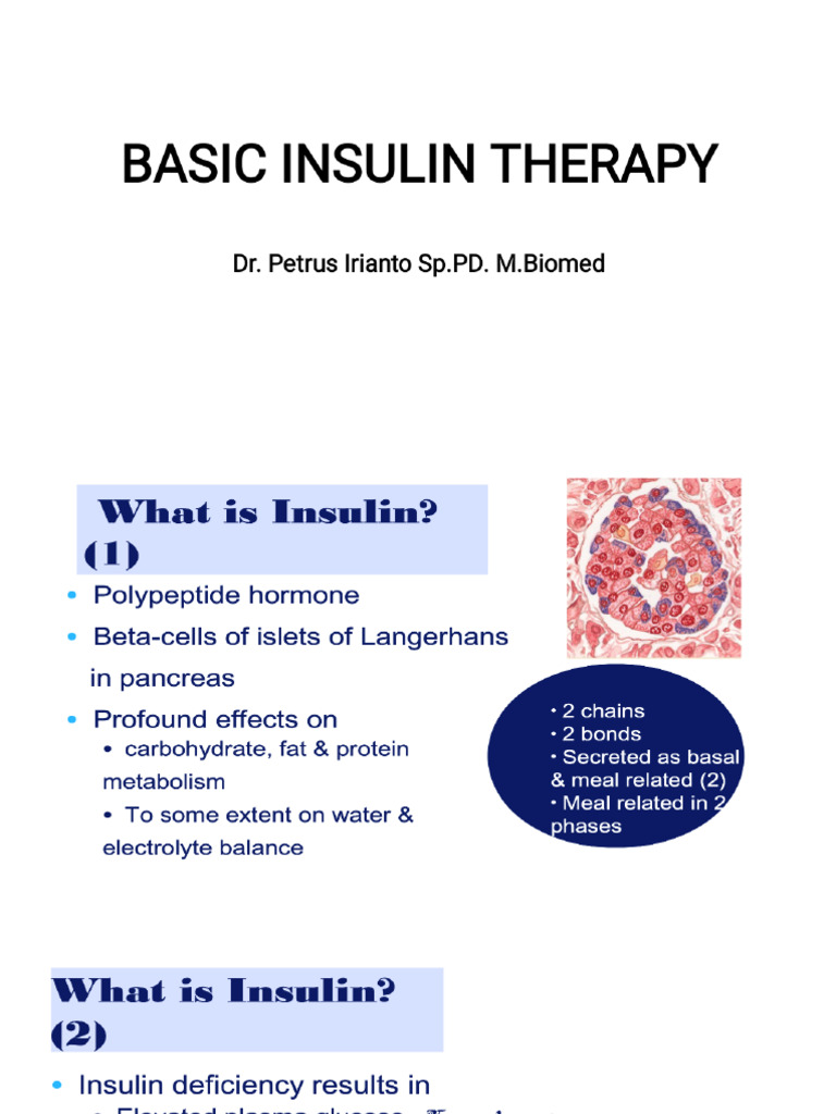 Basic Insulin Therapy | PDF