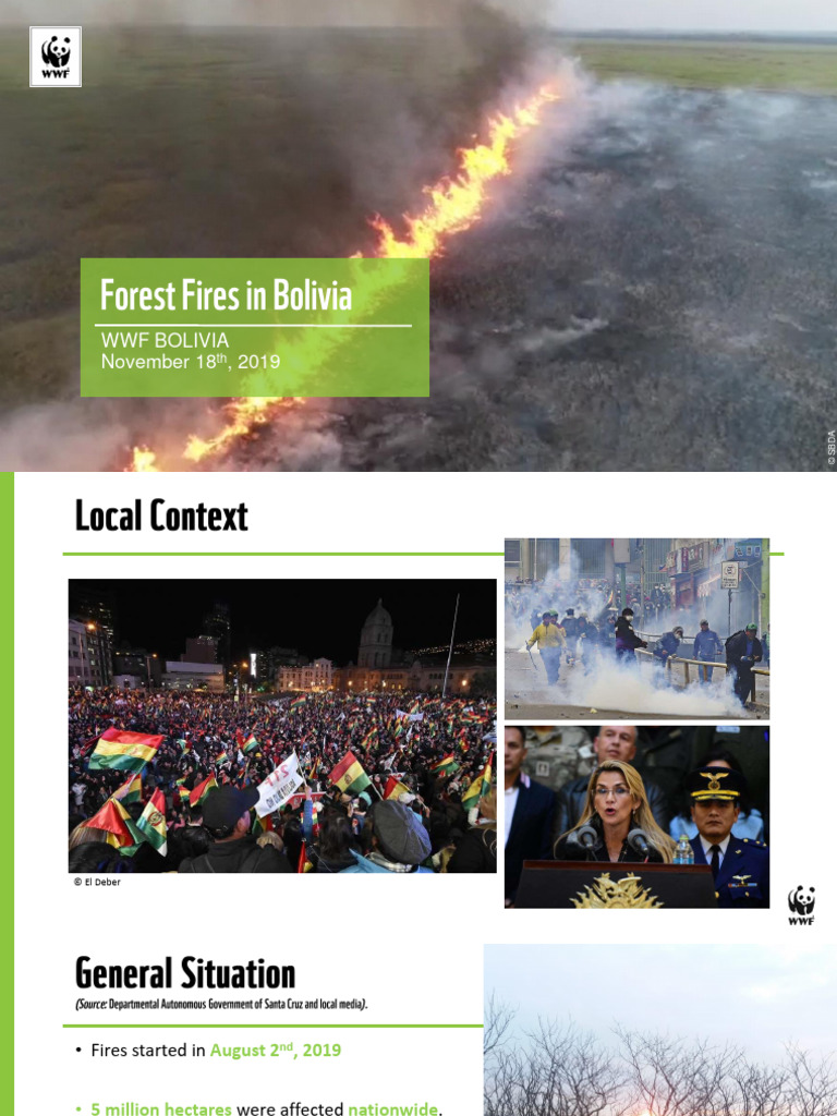 Forest Fires in Bolivia Nov18 2 | PDF | Protected Area | Amazon Rainforest