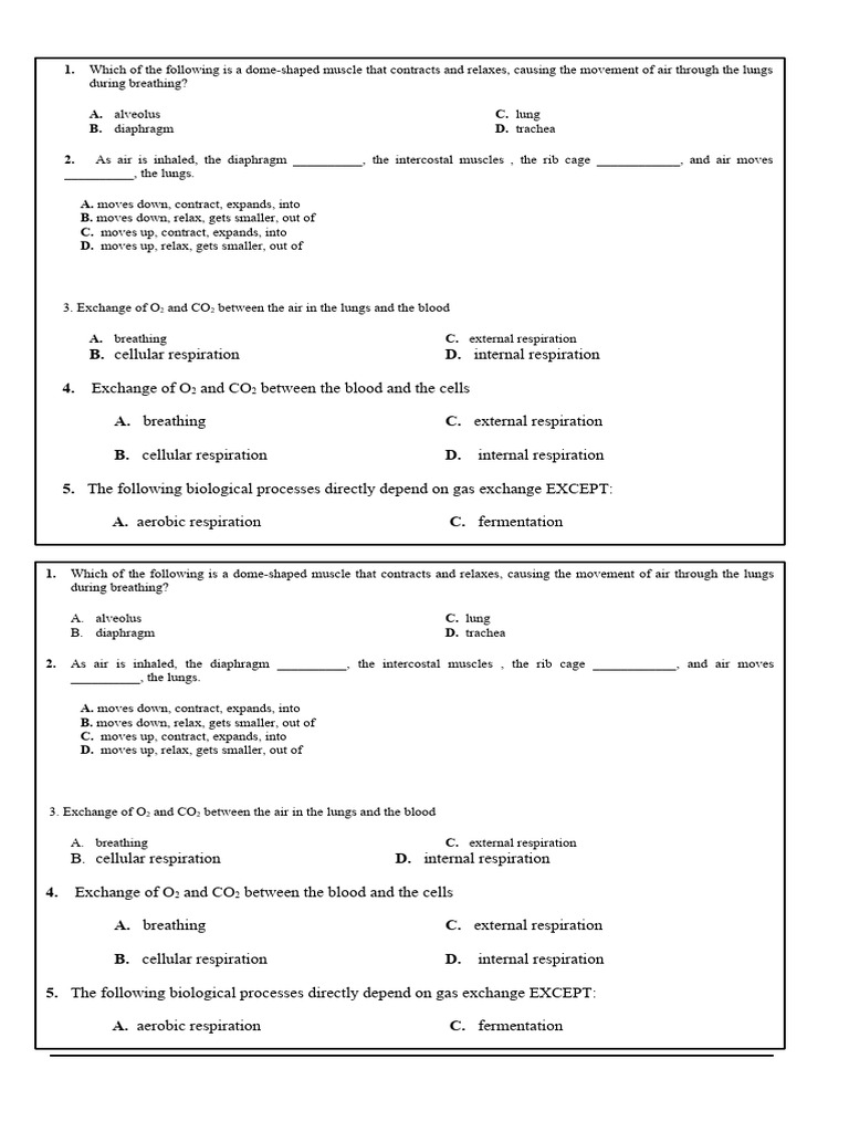 Evaluate - Gas Exchange | Download Free PDF | Respiratory System ...