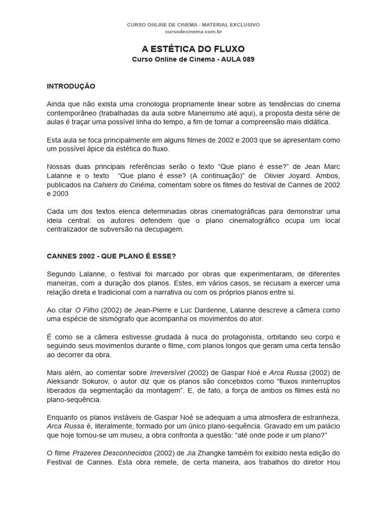 Resumo Da Aula - A Estetica Do Fluxo | PDF | Estética | Câmera