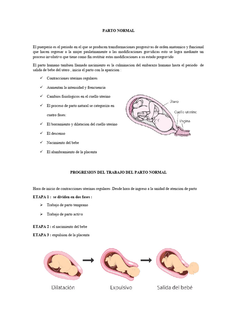 Parto Normal | PDF | Parto | Periodo posparto