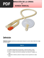 GUÍA de PROCEDIMIENTOS Control de La Diuresis | PDF | Vejiga urinaria ...