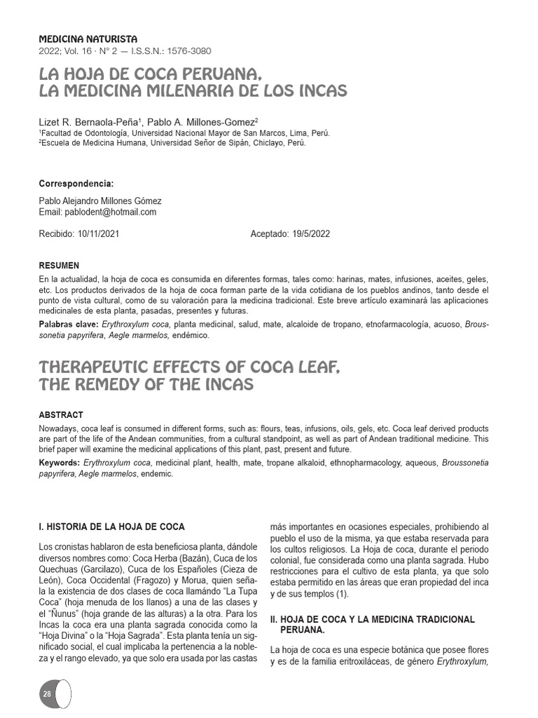 Beneficios del mate de coca para gastritis | PDF | Cocaína