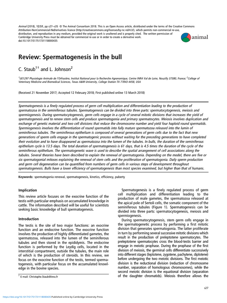 Review Spermatogenesis in The Bull | PDF | Medical Specialties | Male ...