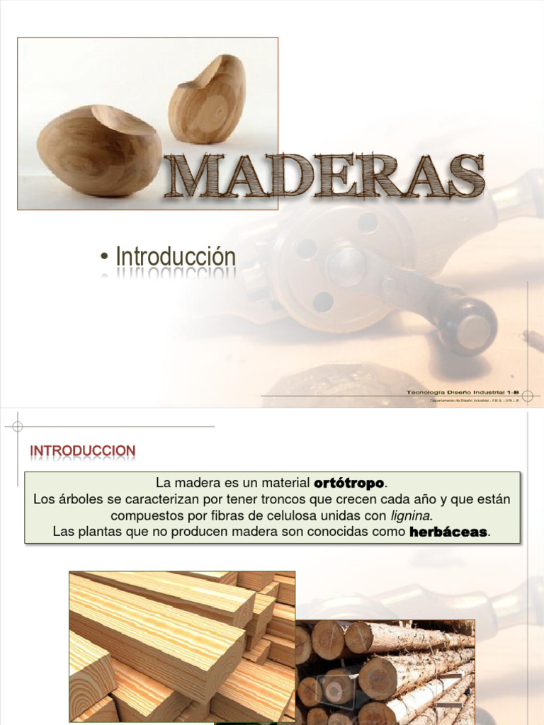 Maderas | PDF | Madera | Tallo de la planta