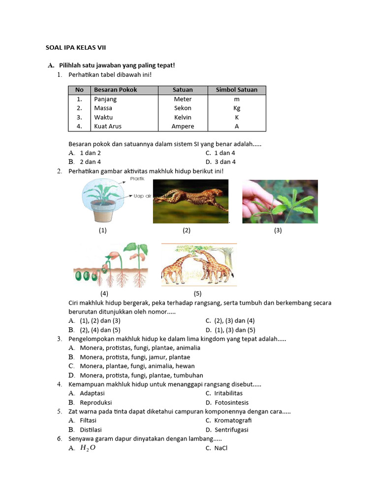 Soal Ipa Kelas Vii Pas 2 | PDF