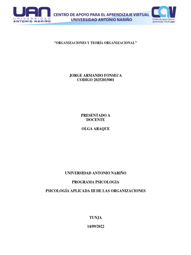 Capítulo 1 "Organizaciones y Teoría Organizacional | PDF | Comportamiento organizacional ...