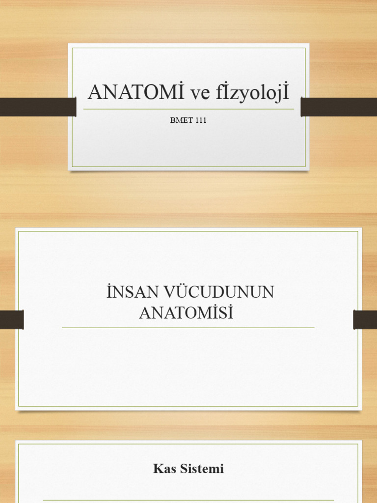 ANATOMİ Ve Fİzyolojİ II | PDF