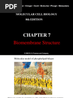 Bfm Protocol | PDF | Intravenous Therapy | Diseases And Disorders