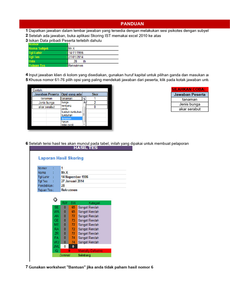 APLIKASI Skoring IST | PDF