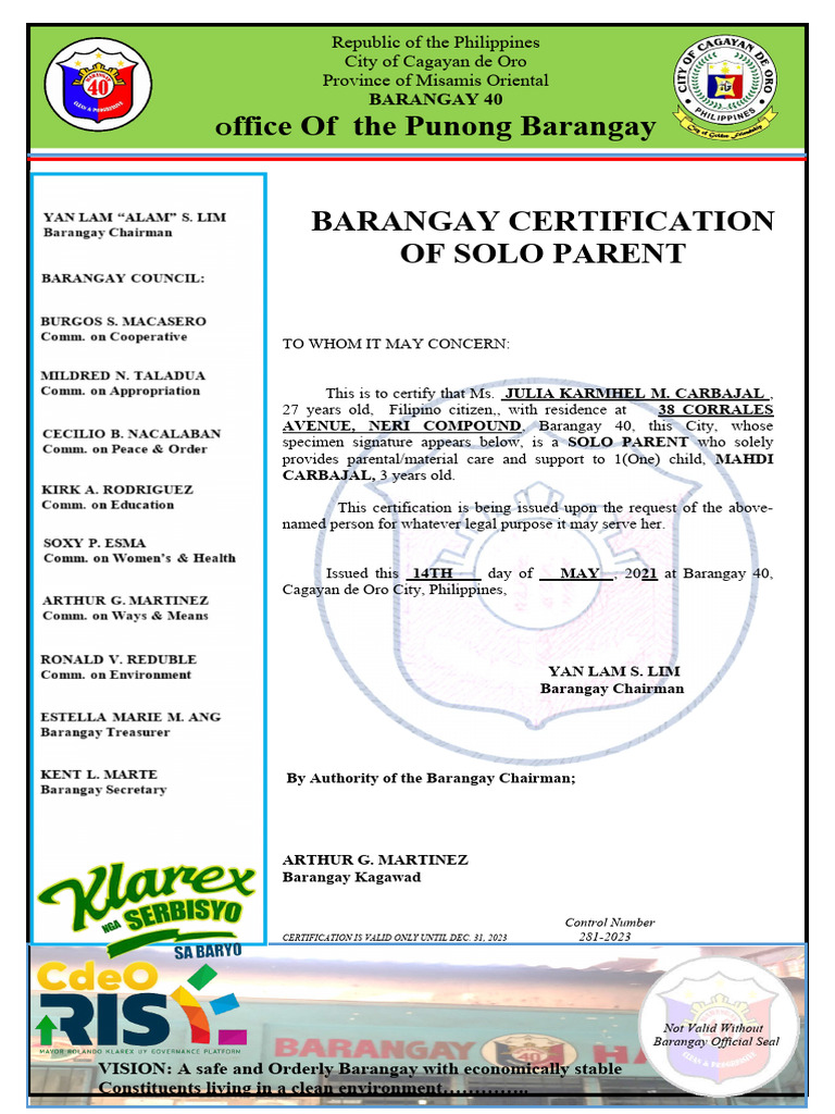 Certificate of SOLO PARENT JULIA CARBAJAL | PDF